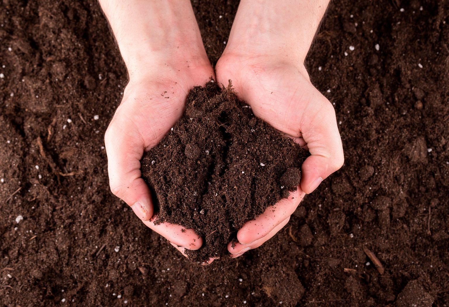 Campañas de compostaje vecinal y escolar - Humus Summum